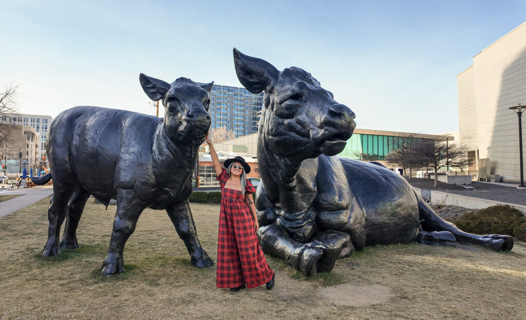 Free Museum Days in Denver – Denver for Free